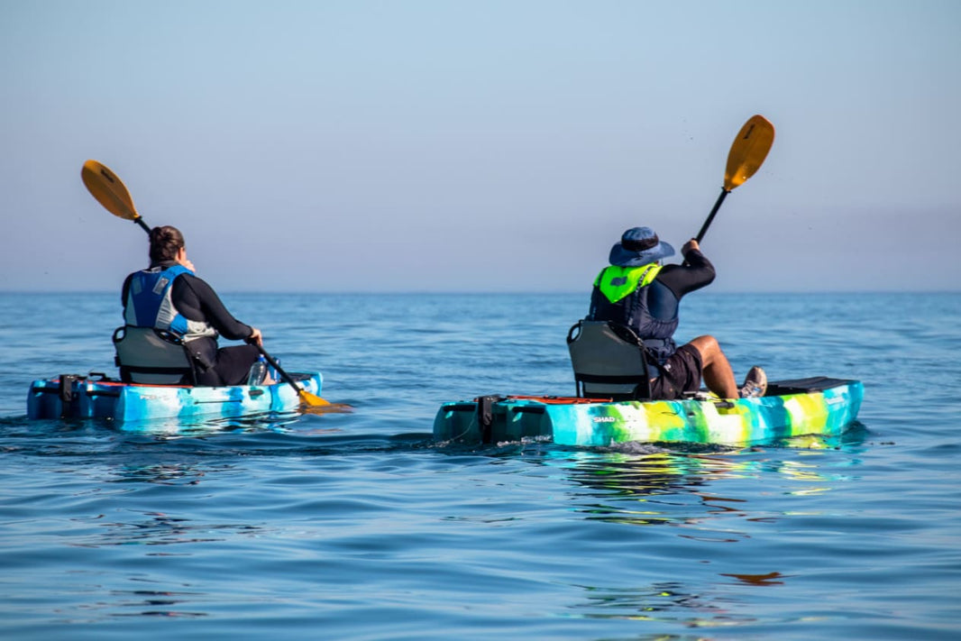 Shad Fin Drive Fishing Kayak | Vanhunks International